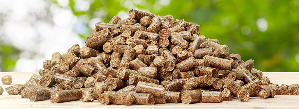 What Are the Best Pellets for Smoking? A Buying Guide | True Value Hardware