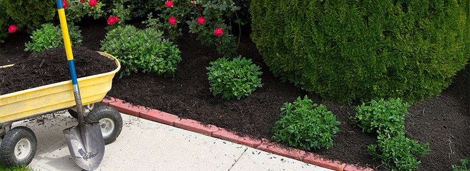 Garden Cart vs. Wheelbarrow: Which One to Buy for Your Garden | True ...