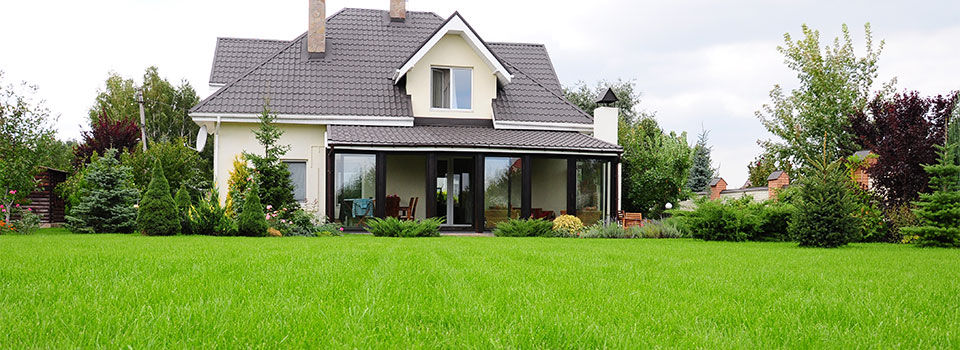 How to Grow a Greener Lawn Do it Best