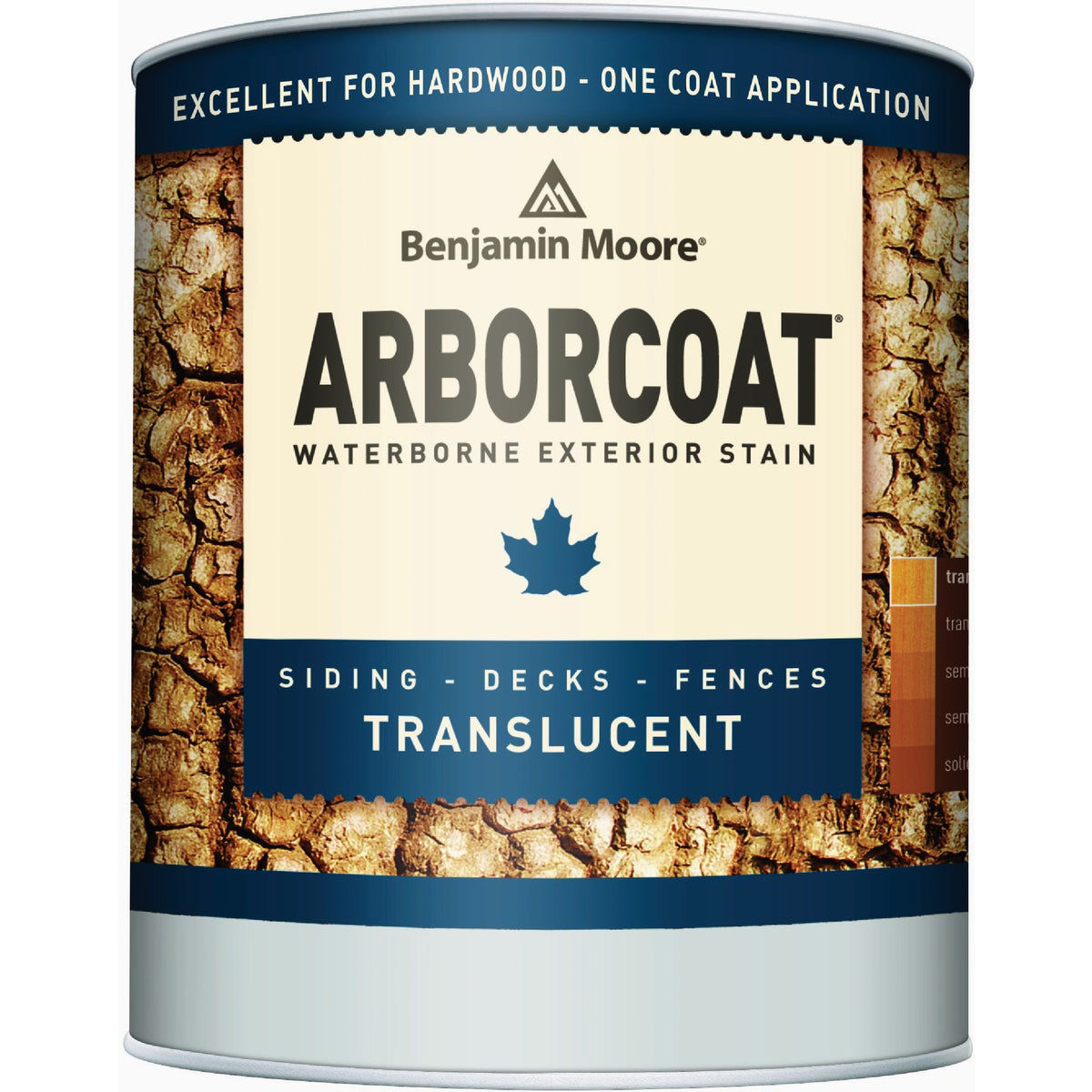 Benjamin Moore Translucent Waterborne Flat Exterior Stain, Natural, 1 ...