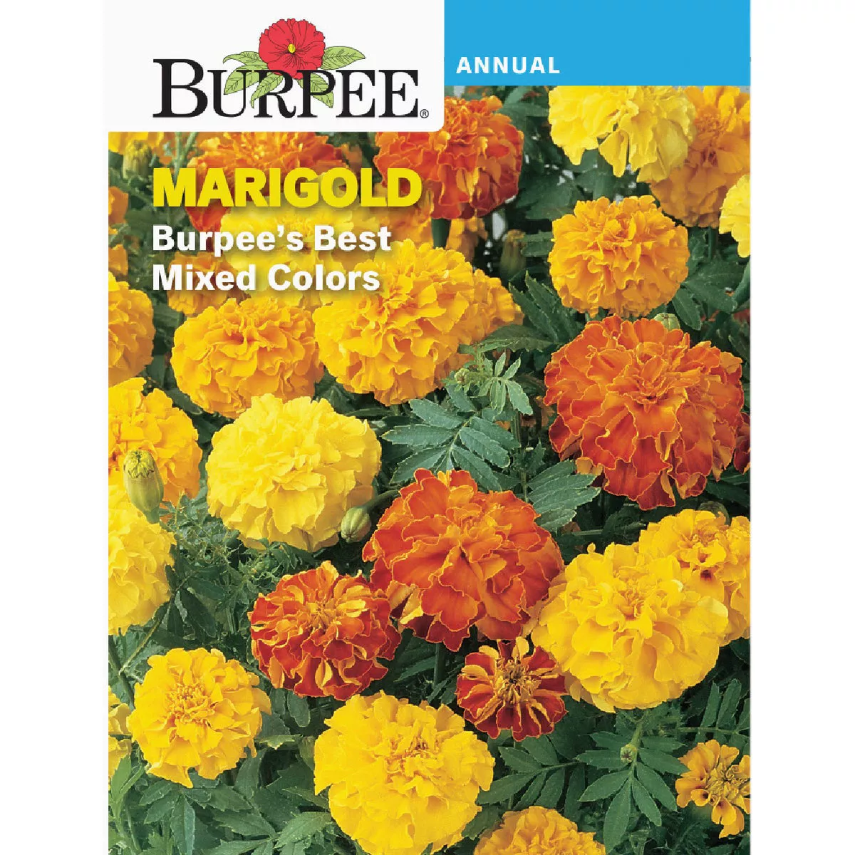Burpee Marigold Burpee's Best Mixed Colors Seed Packet | Do it Best