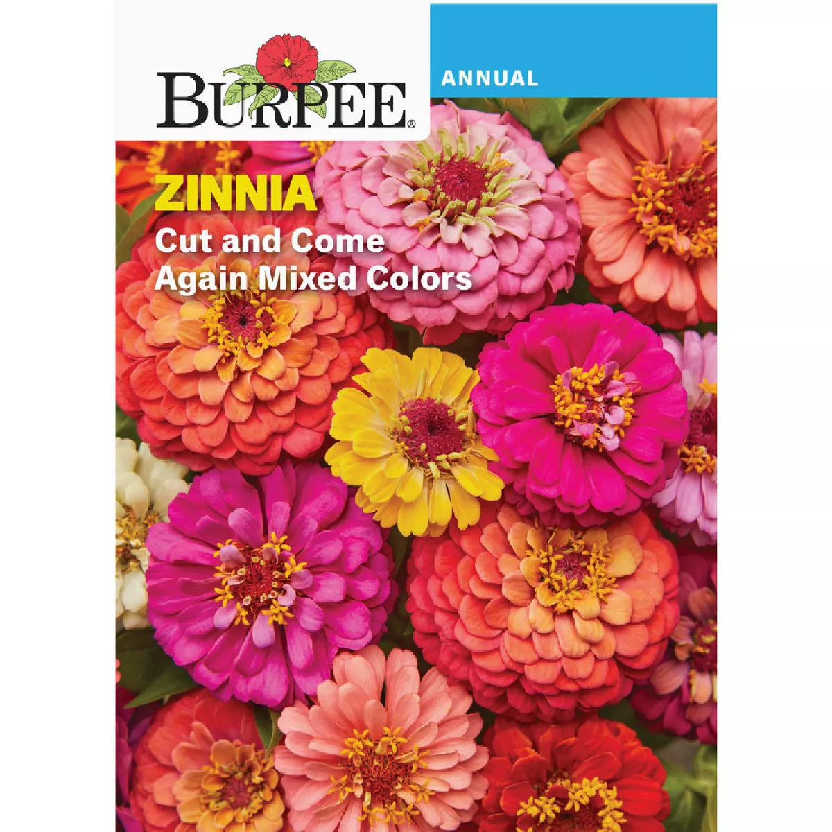 Burpee Zinnia Cut and Come Again Mixed Colors Seed Packet | Do it Best