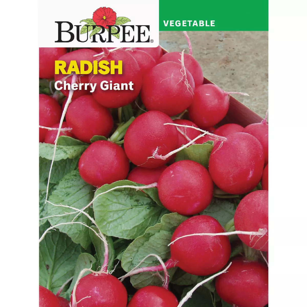 Burpee Radish Cherry Giant Seed Packet | True Value Hardware