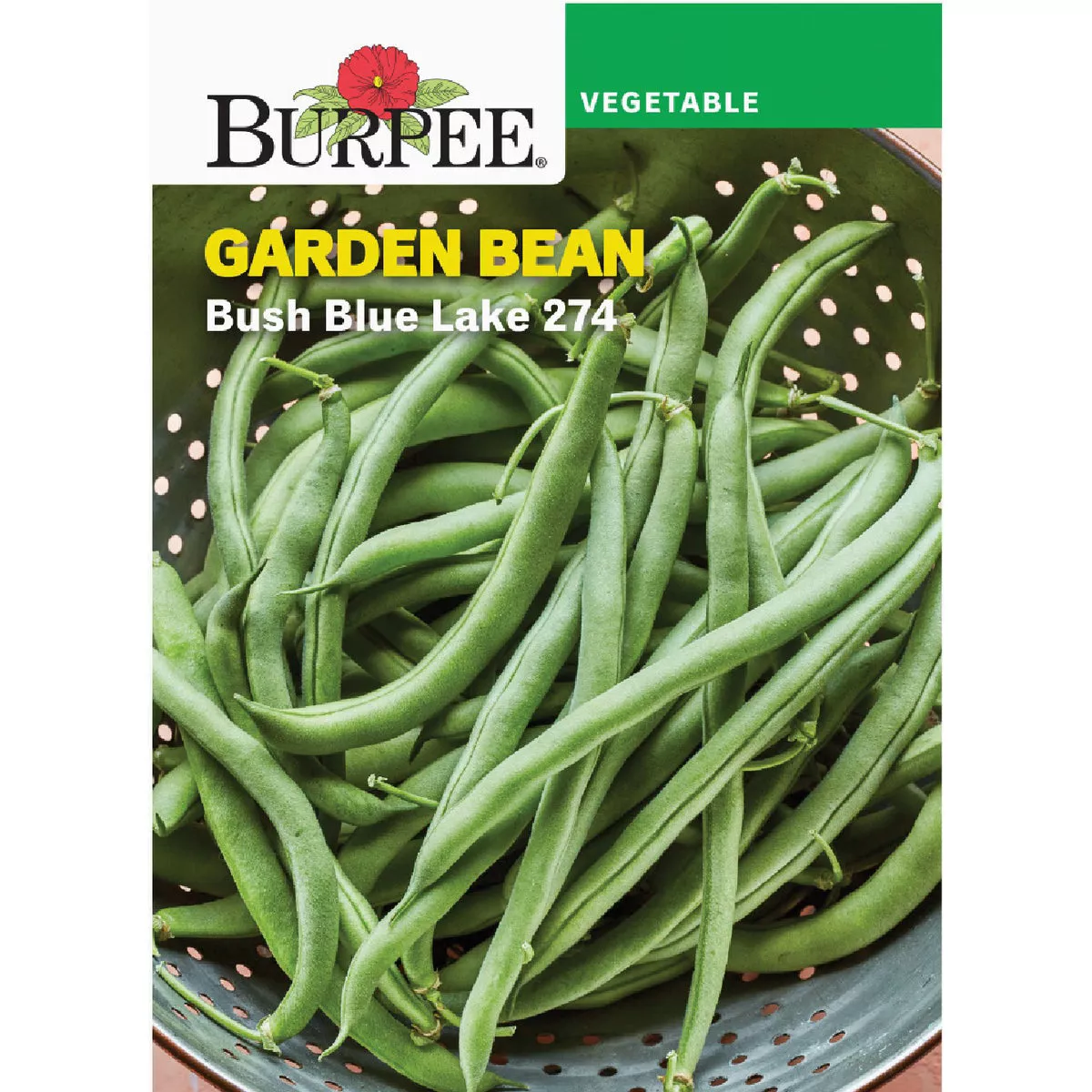 Burpee Bean, Garden Bush Blue Lake 274 Seed Packet- | True Value Hardware