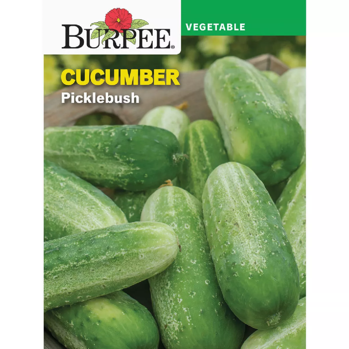 Burpee Cucumber Picklebush Seed Packet | Do it Best
