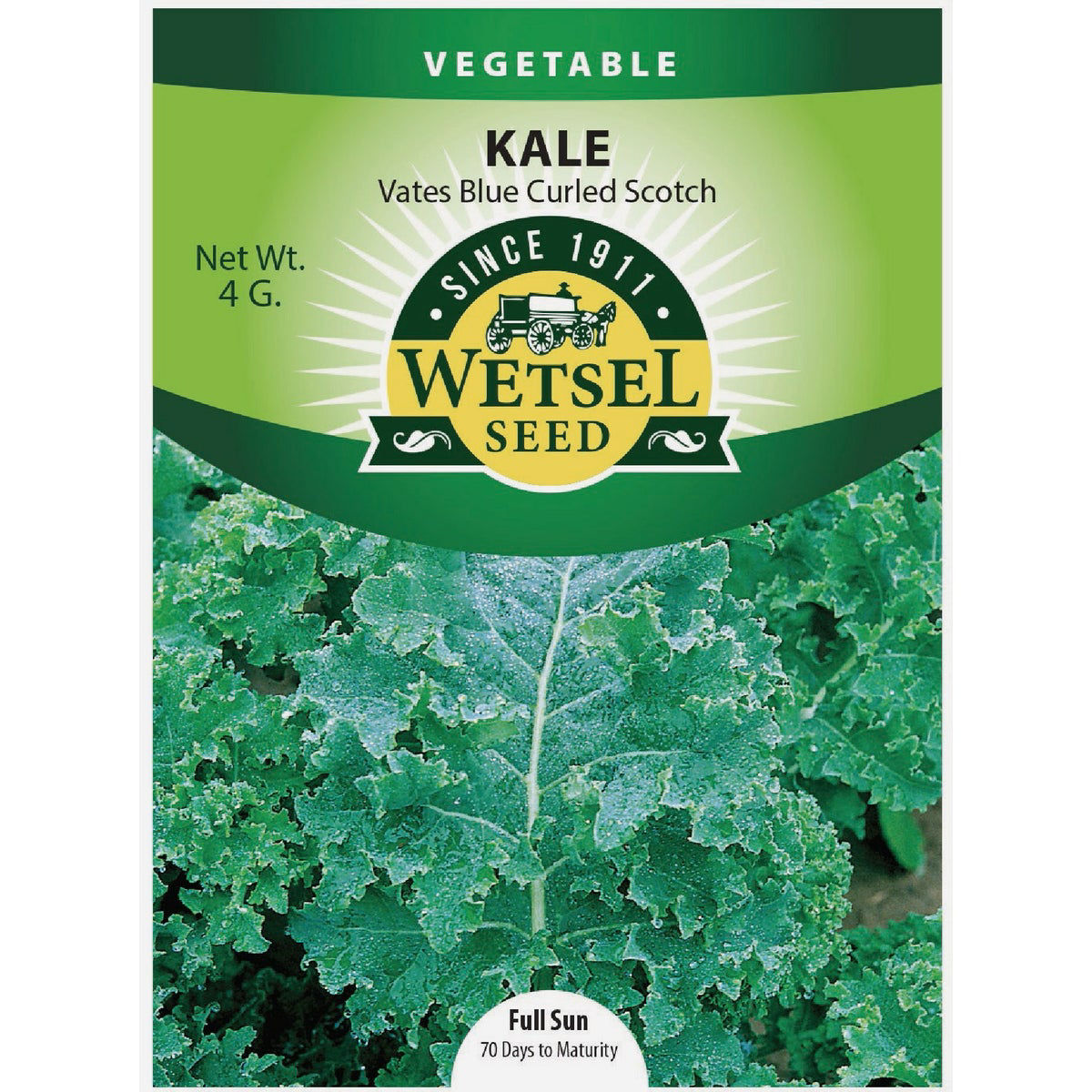 Wetsel Seed Vates Blue Curled Scotch Kale Seed Packet | Do it Best