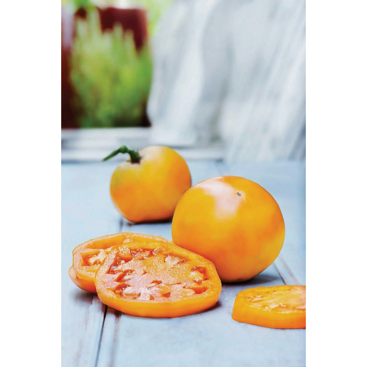 Wetsel Seed Golden Jubilee Tomato Seed Packet | Do it Best