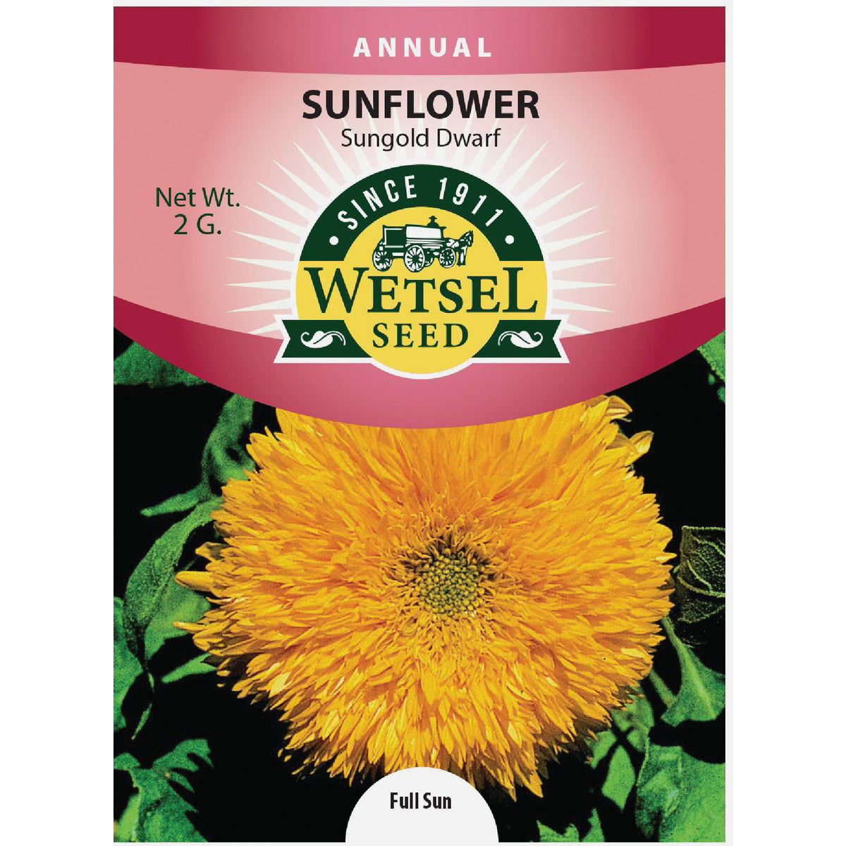 Wetsel Seed Sungold Dwarf Sunflower Seed Packet | Do it Best