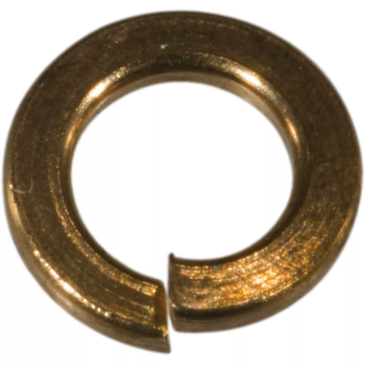 Midwest Fastener #6 x 1/8 In. x 1/4 In. Bronze Split Lock Washers (24 ...