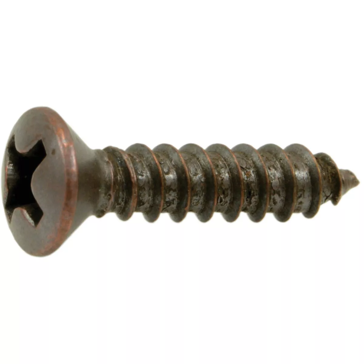Midwest Fastener #6 x 5/8 In. Steel Phillips Oval Head Decorative Sheet ...
