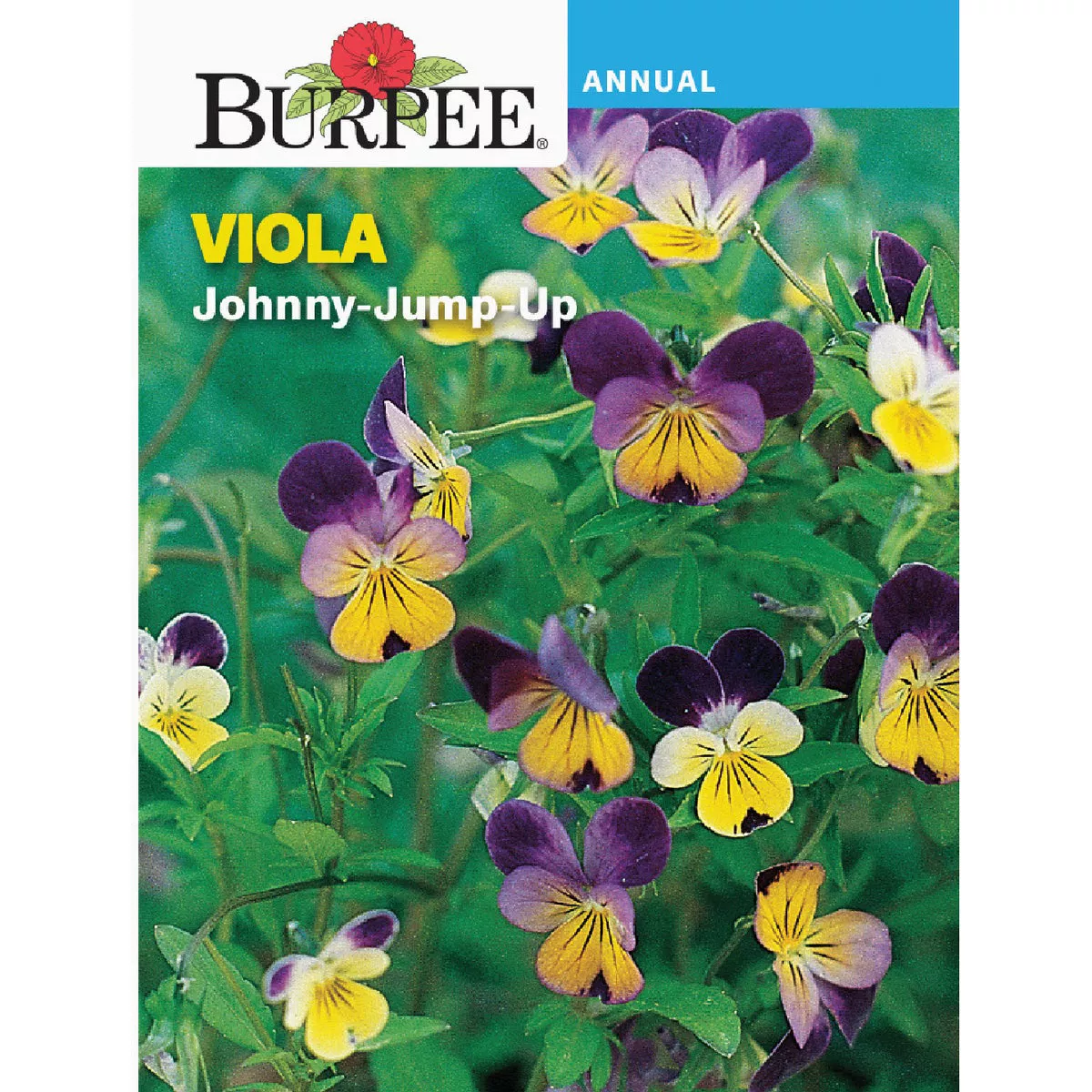 Burpee Heirloom Viola Johnny-Jump-Up Seed Packet | Do it Best