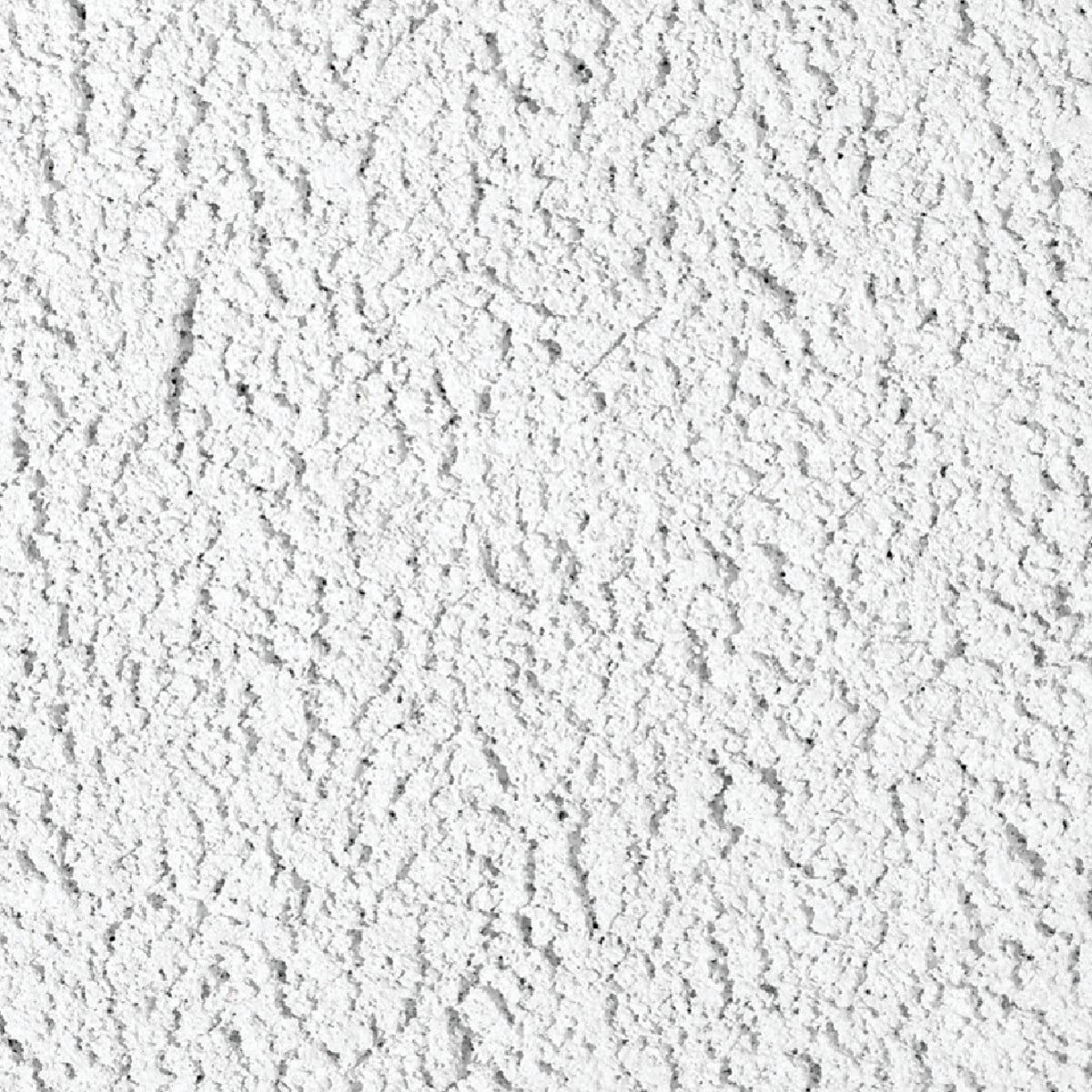 USG Glacier 2 Ft. X 2 Ft. Basic Acoustical Ceiling Panels (8-Count ...