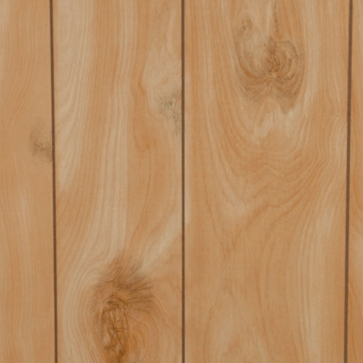 DPI 4 Ft. x 8 Ft. x 1/8 In. Honey Birch Woodgrain Wall Paneling | Do it ...