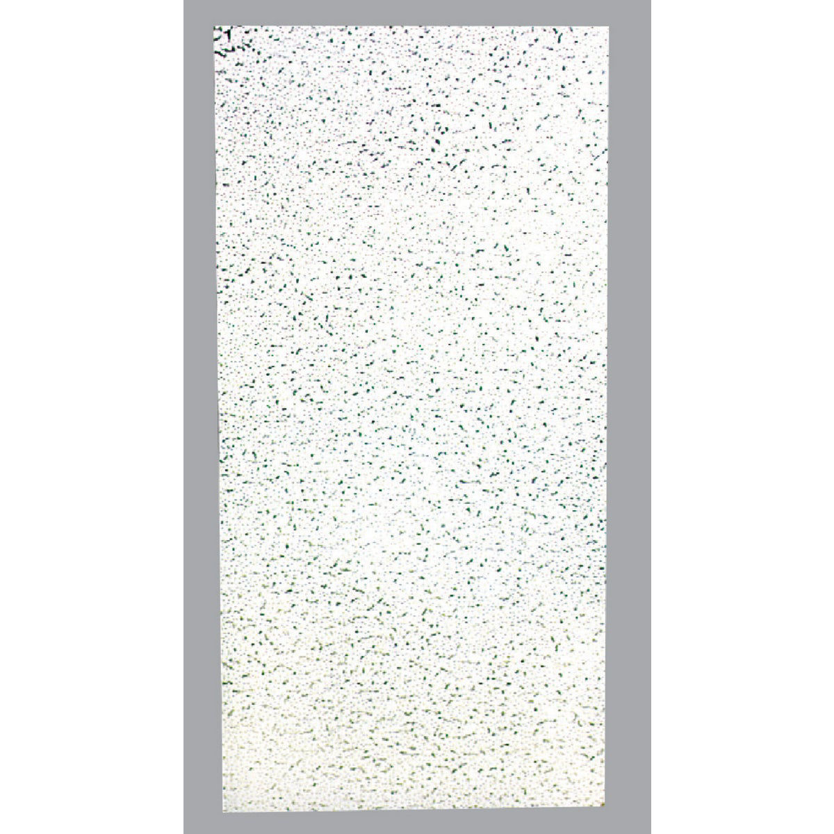 USG Fissured Basic 2 Ft. x 4 Ft. Firecode Acoustical Ceiling Panels (8-Count) | Do it Best