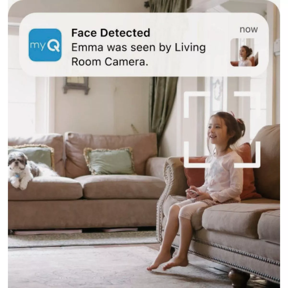 Chamberlain myQ Smart Indoor Camera | Do it Best