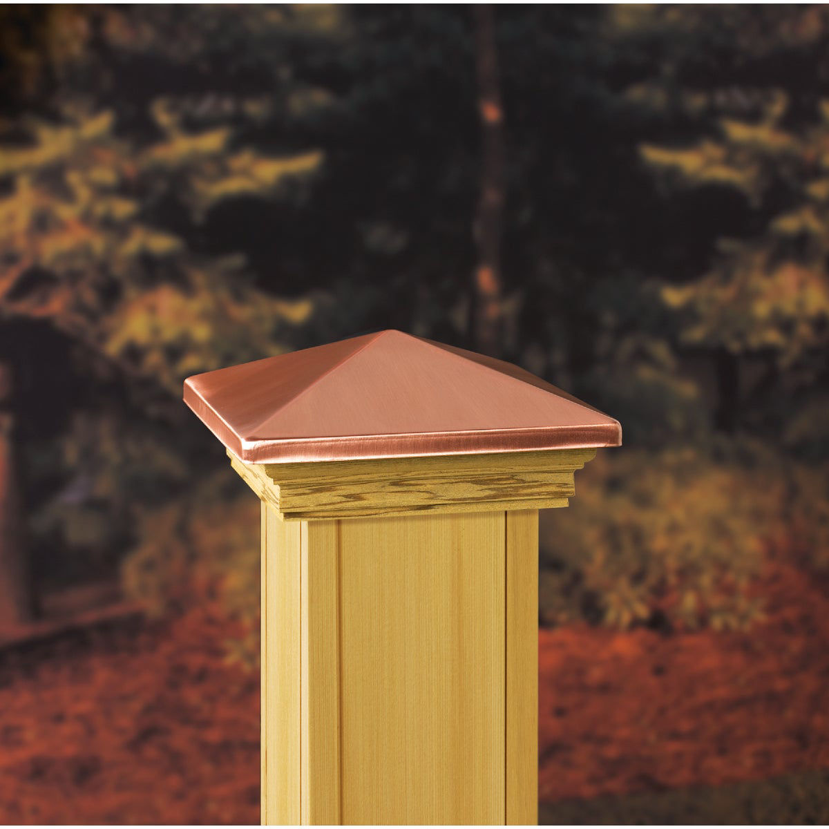 Deckorators 6 In. x 6 In. Plastic Top, Pressure Treated Pine Base Press ...