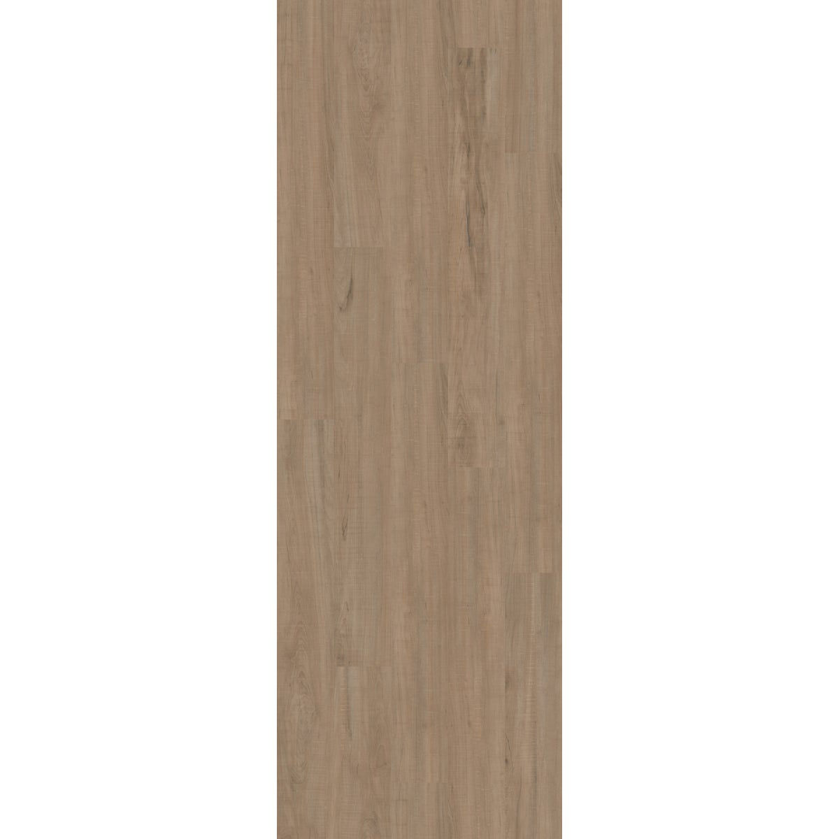 Shaw Floorte Pro Anvil Plus Chatter Oak 7 In. W x 48 In. L Vinyl Rigid ...