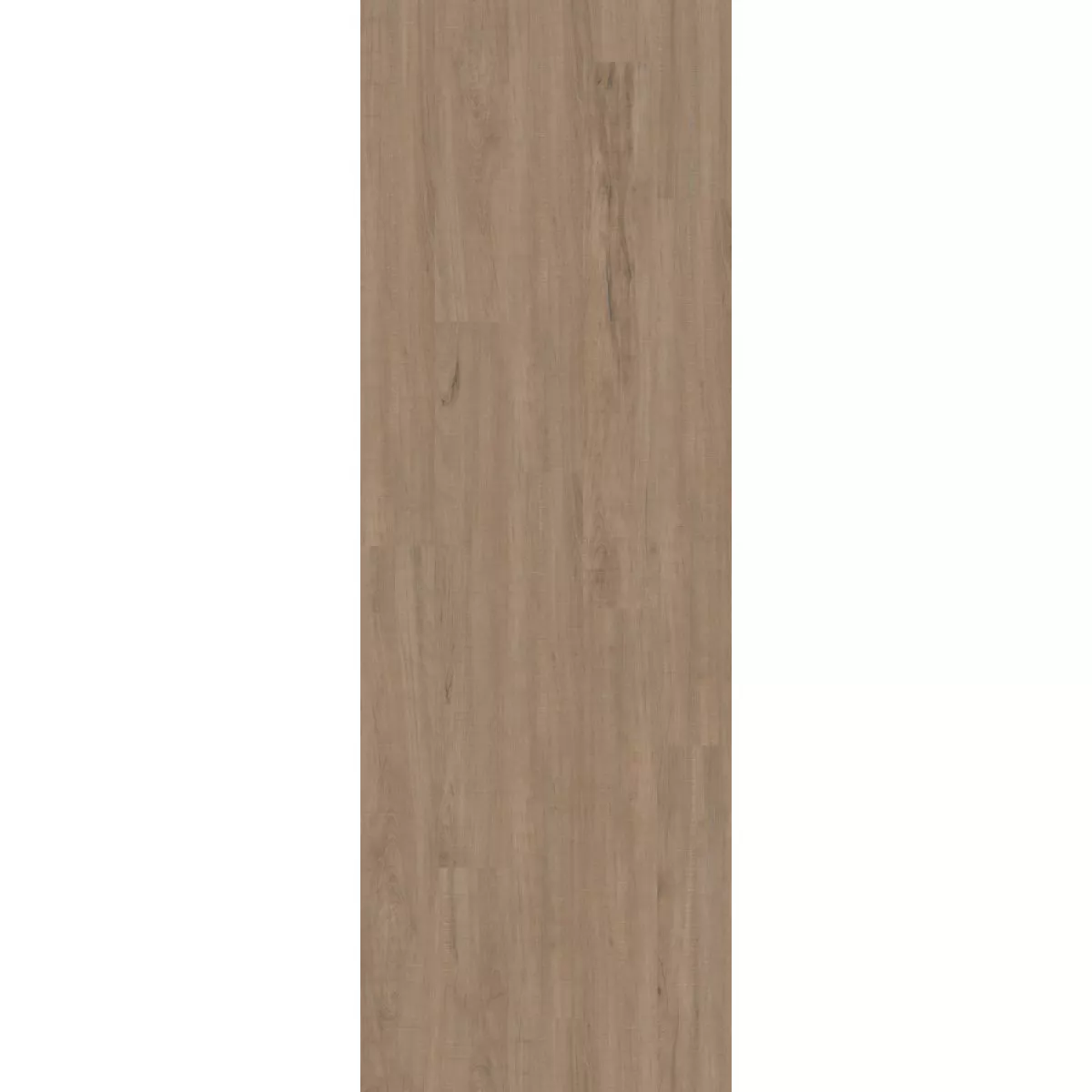 Shaw Floorte Pro Anvil Plus Chatter Oak 7 In. W x 48 In. L Vinyl Rigid ...