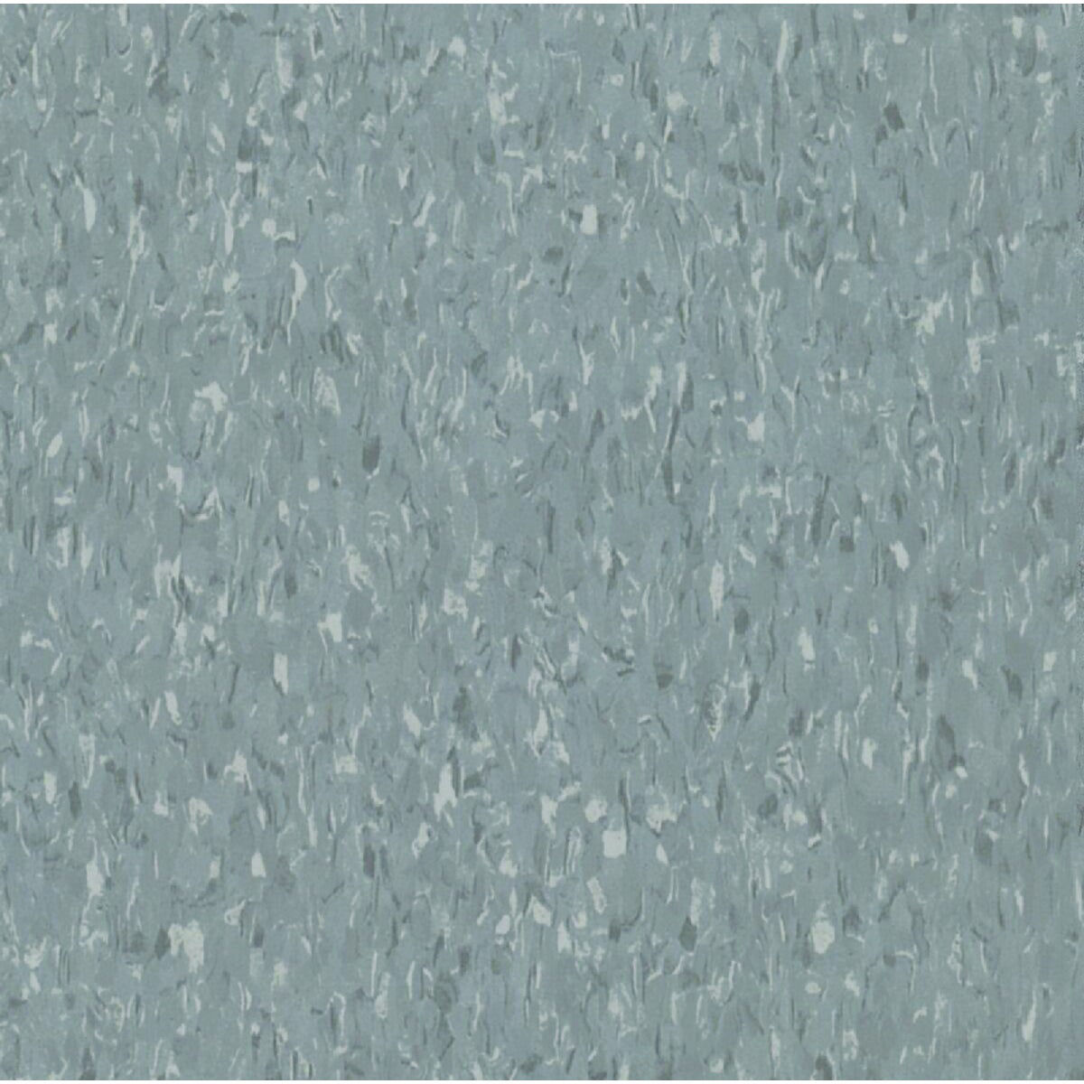 Armstrong Flooring Standard Excelon Imperial Texture 12 In. x 12 In ...