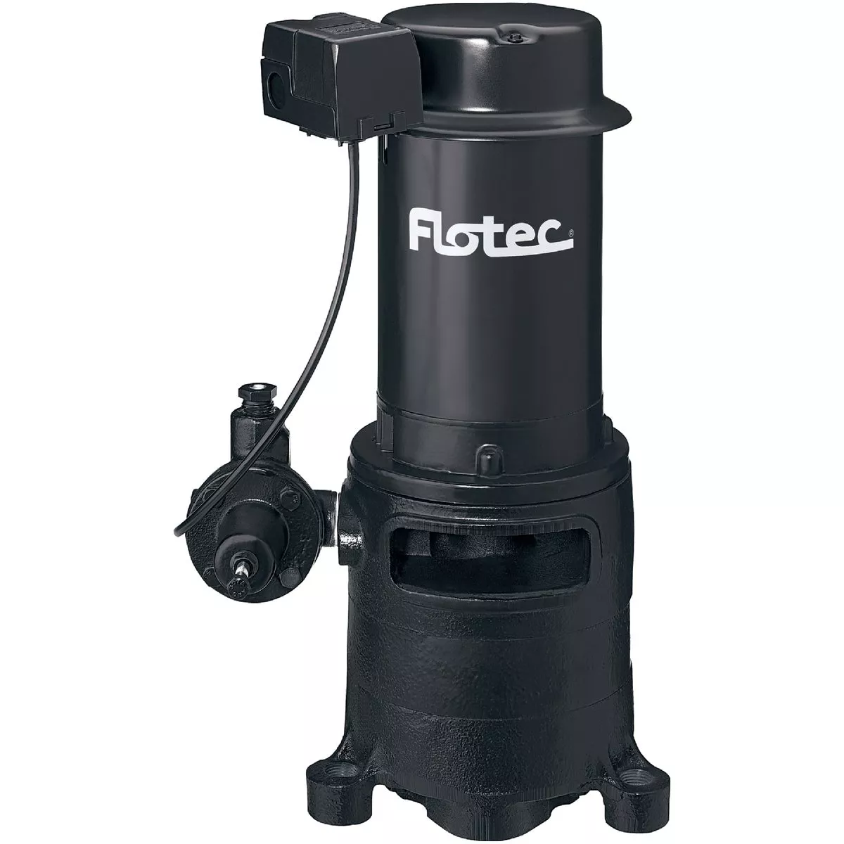 Flotec 1 HP Cast Iron Vertical Deep Water Well Jet Pump | True Value ...