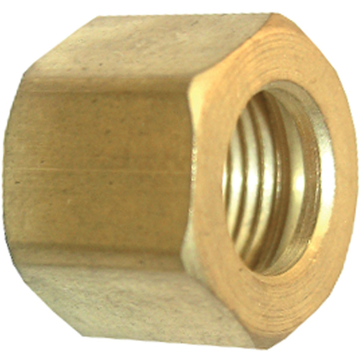 Lasco 1/8 In. Brass Compression Nut (2-Pack) | Do it Best