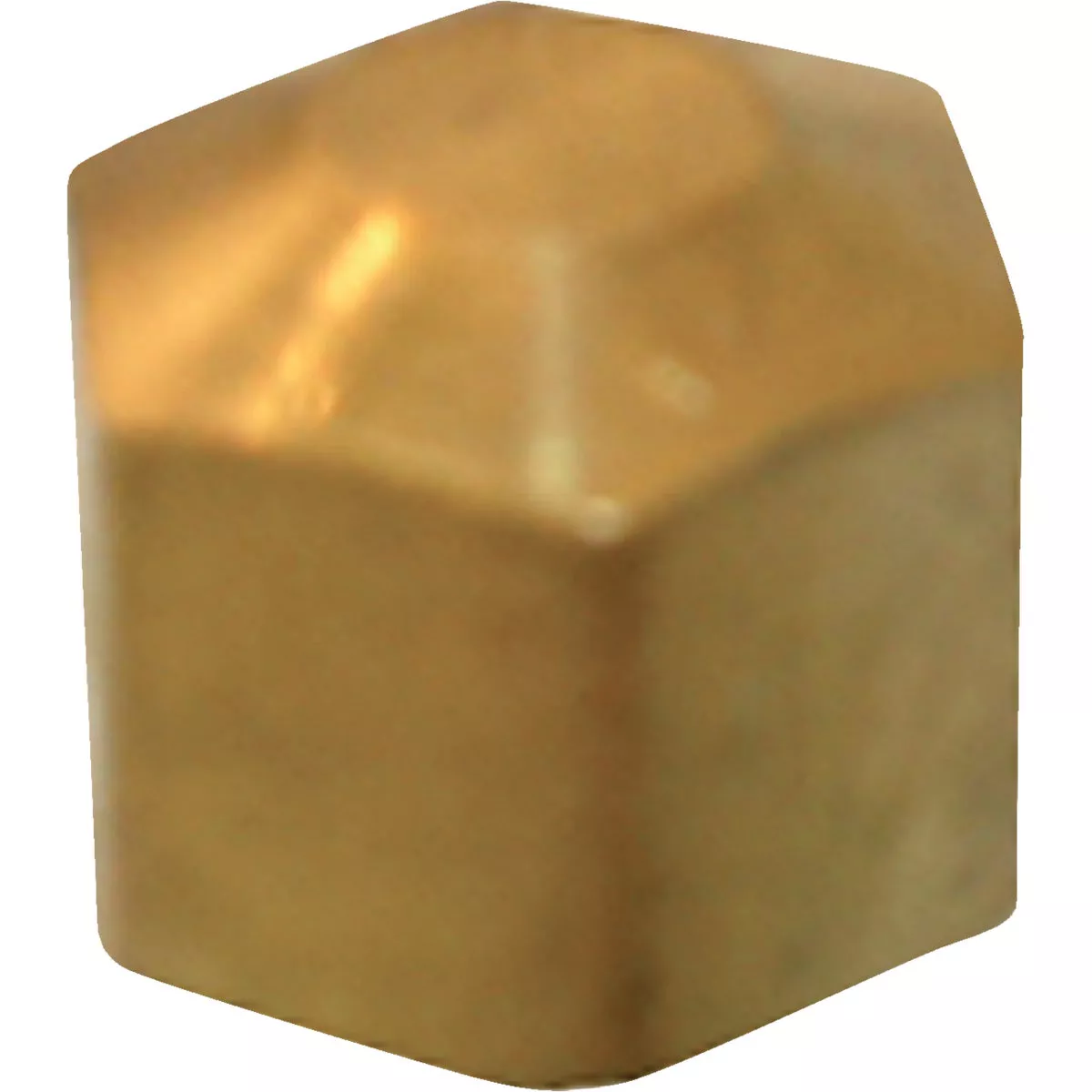Lasco 1/4 In. Brass Compression Cap | True Value Hardware