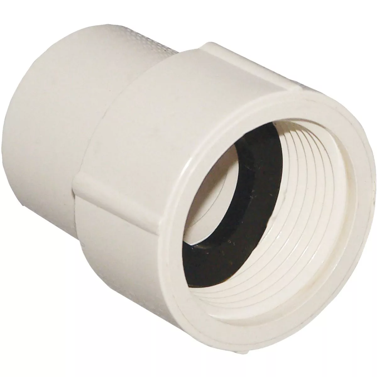Charlotte Pipe 3/4 In. FIP CPVC Threaded PVC Adapter | Do it Best