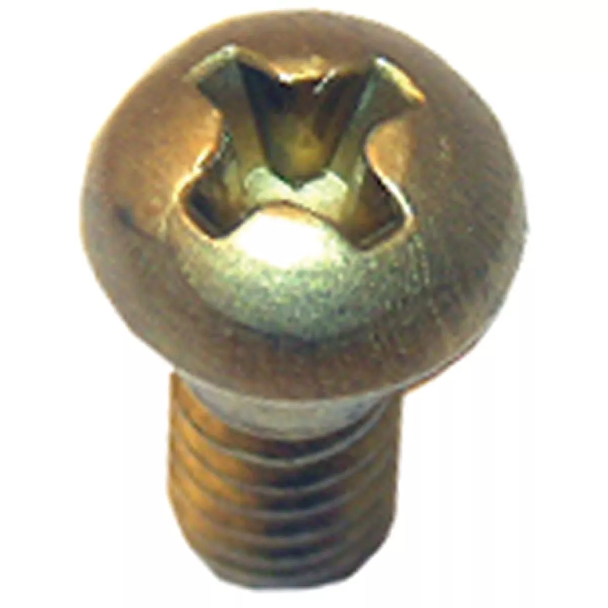 Lasco Round Head 3/8 In. #8 Faucet Screw | True Value Hardware