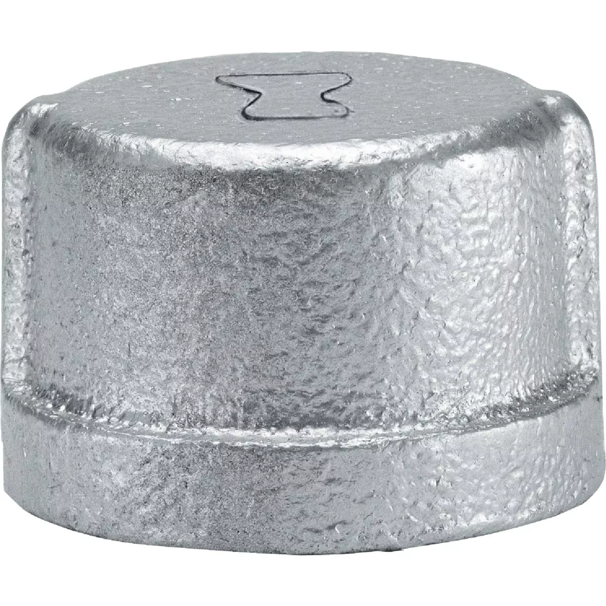 Anvil 2 In. Malleable Iron Galvanized Cap | True Value Hardware