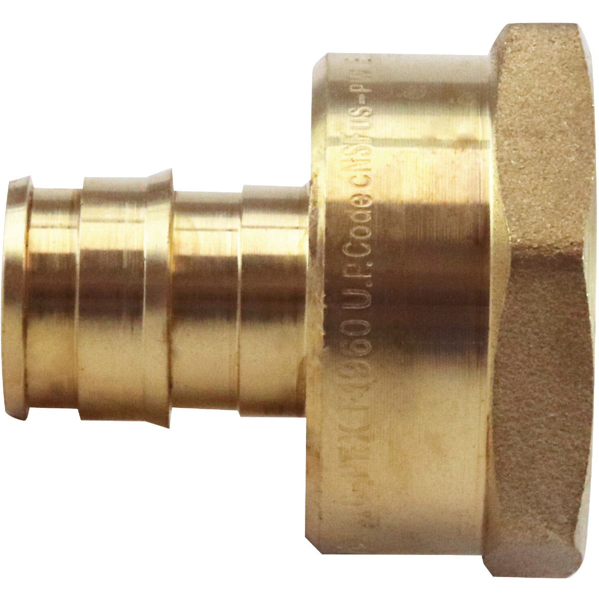 Apollo Retail 1/2 In. Barb x 3/4 In. FNPT Reducing Brass PEX Adapter, Type A | Do it Best