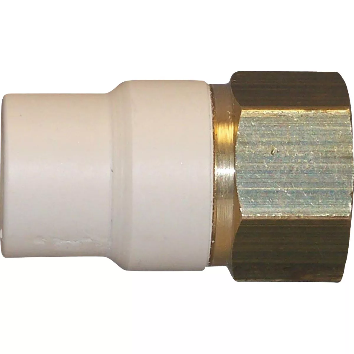 Charlotte Pipe 3/4 In. Slip x Brass FIP CPVC Transition Adapter | True ...