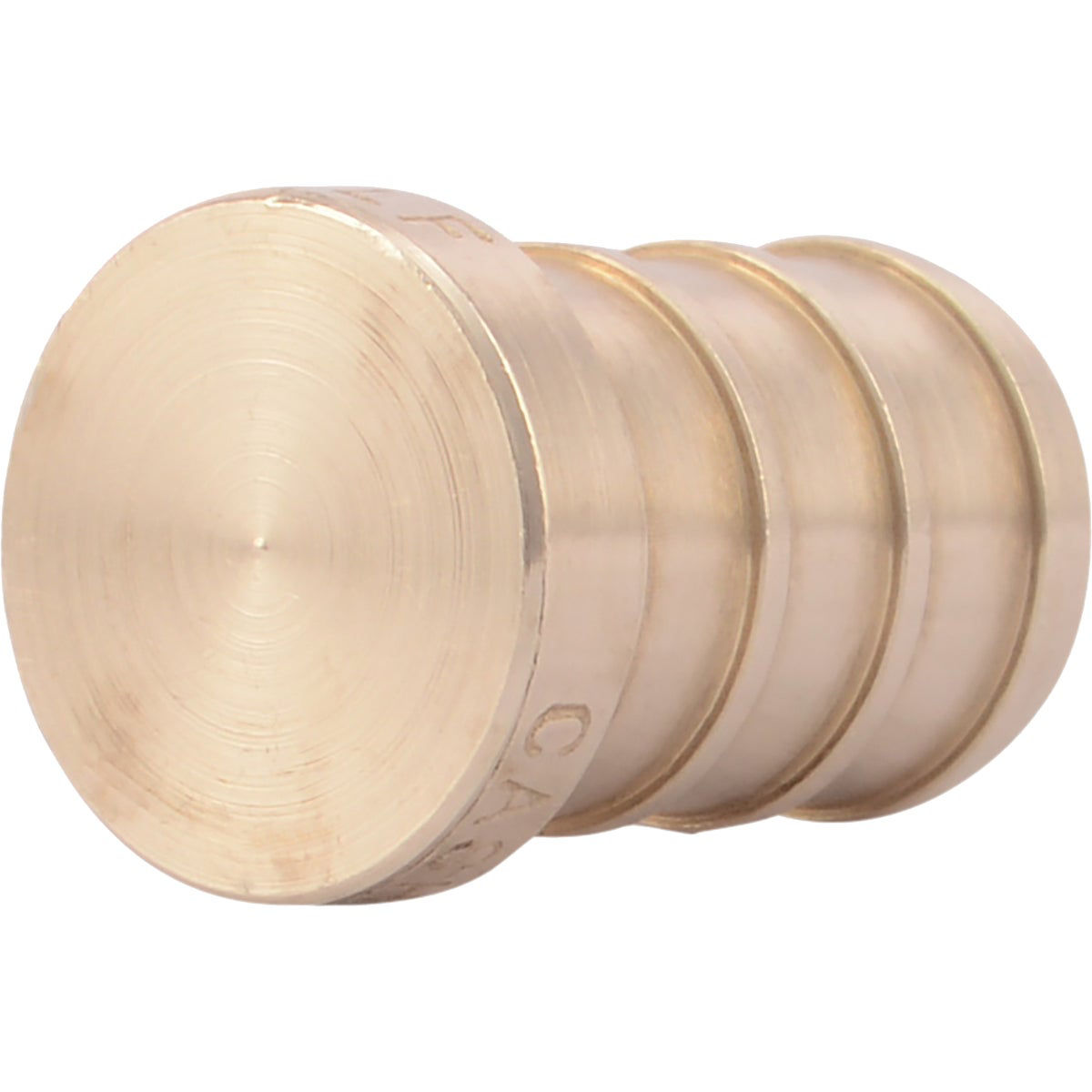 SharkBite 1/2 In. Barb Brass PEX Test Plug | Do it Best