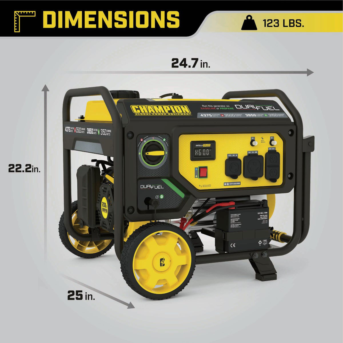 Champion 3500W Dual Fuel Electric/Recoil Start Portable Generator | Do ...