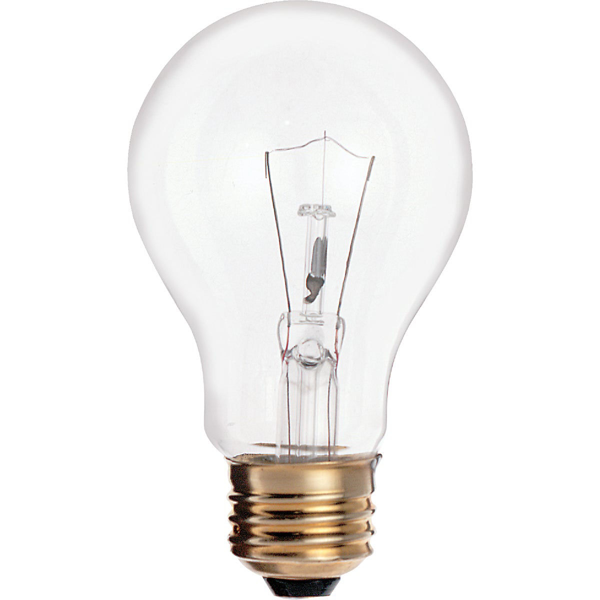 Incandescent A-Line Light Bulb | True Value Hardware