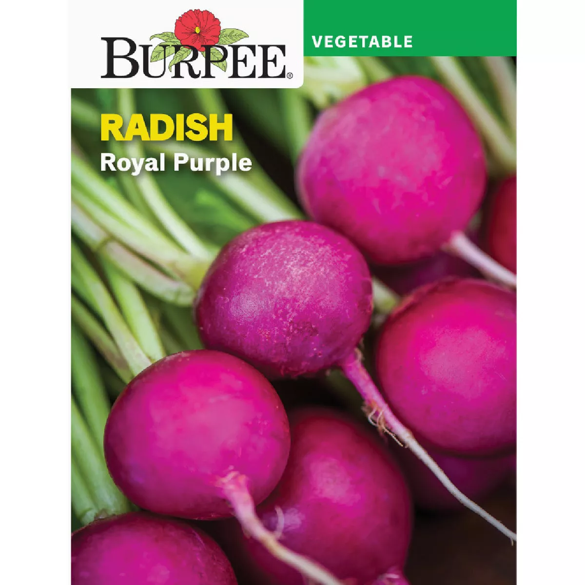 Burpee Radish Royal Purple Seed Packet- | True Value Hardware