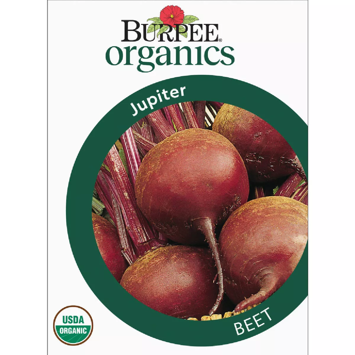 Burpee Organic Beet Jupiter Seed Packet | True Value Hardware