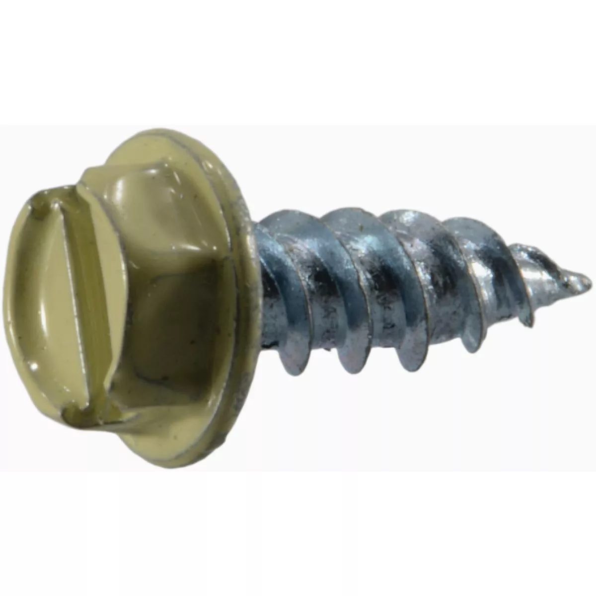 Midwest Fastener #8 x 1/2 In. Beige Painted Zinc Plated Steel Slotted ...