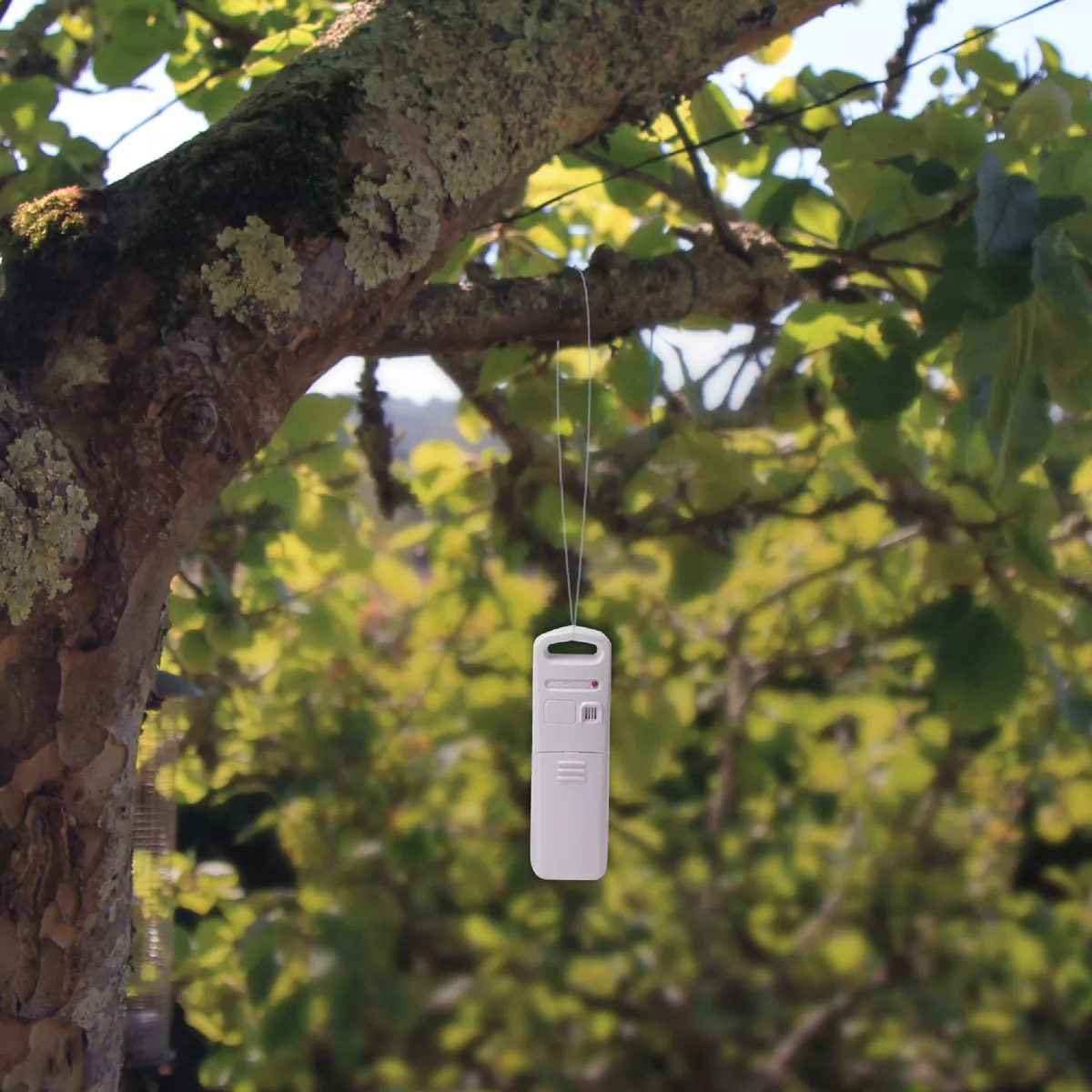 Acu-Rite Color Weather Station | Do it Best