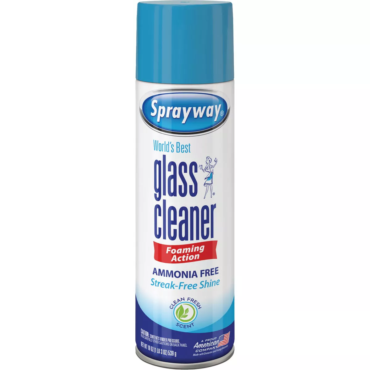 Sprayway 19 Oz. Glass & Surface Cleaner | Do it Best