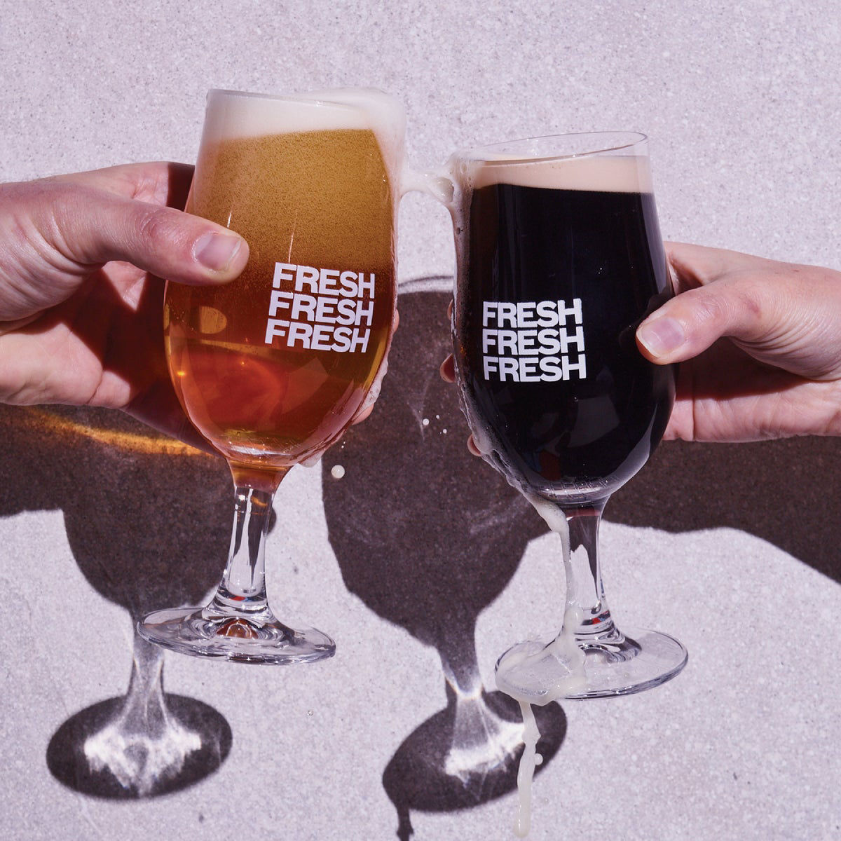 Pinter Dark Matter Stout Beer Brewing Pack | Do it Best