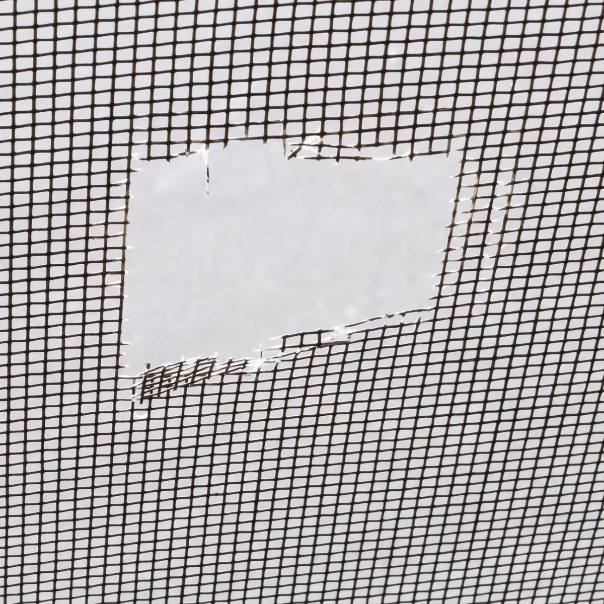 Magic Mesh 9 Ft. x 2 In. Screen Repair Tape | Do it Best