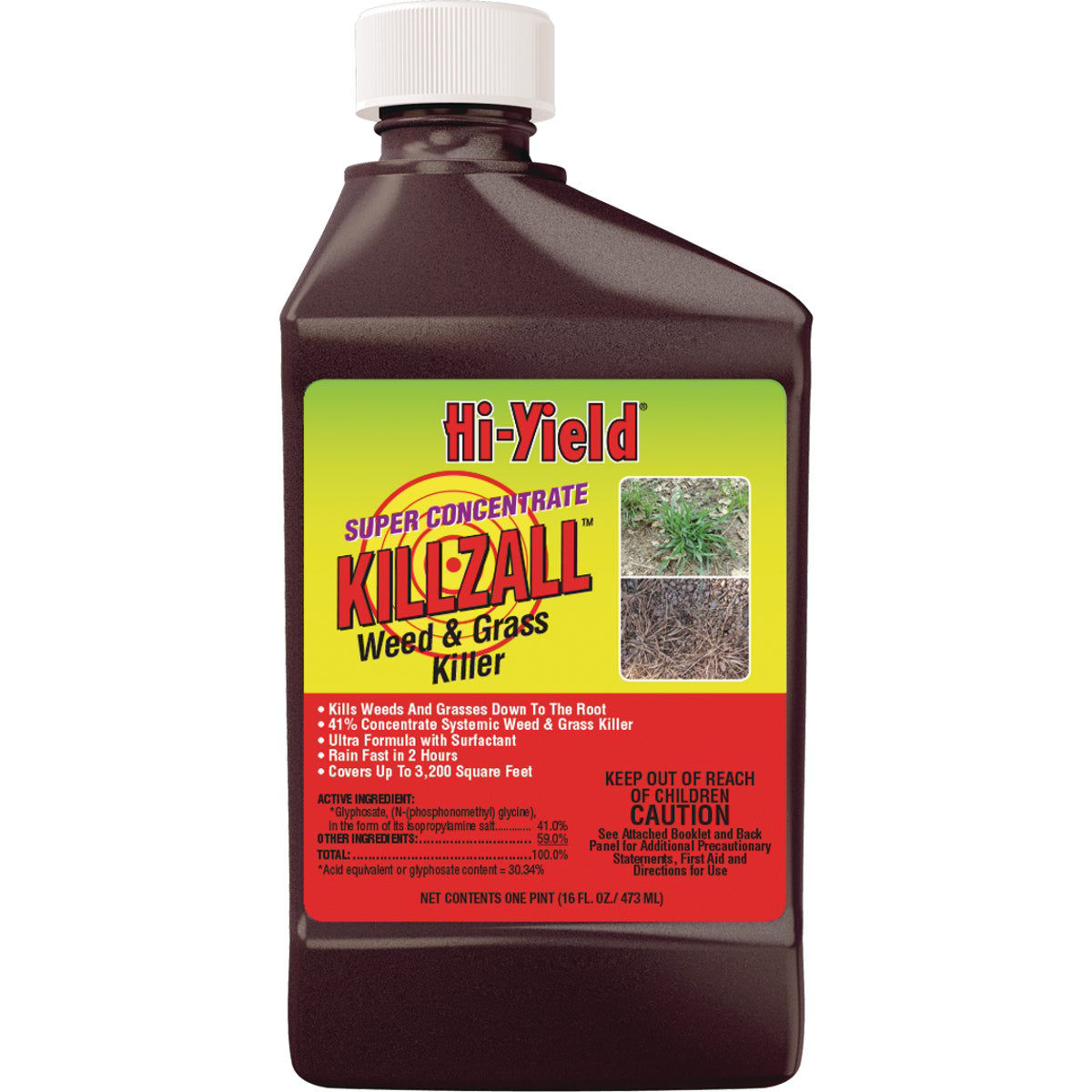Hi-Yield Killzall 16 Oz. Concentrate Weed & Grass Killer | Do it Best