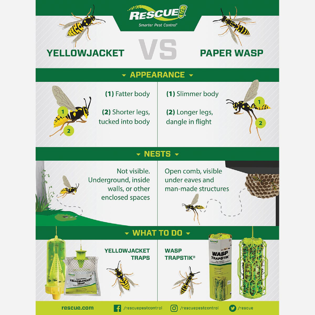 Rescue TrapStik Wasp, Carpenter Bee, Mud Dauber Trap | Do it Best