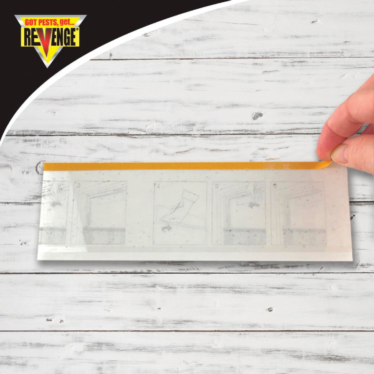 REVENGE No Escape Disposable Indoor Window Fly Catchers (4-Pack) | Do ...