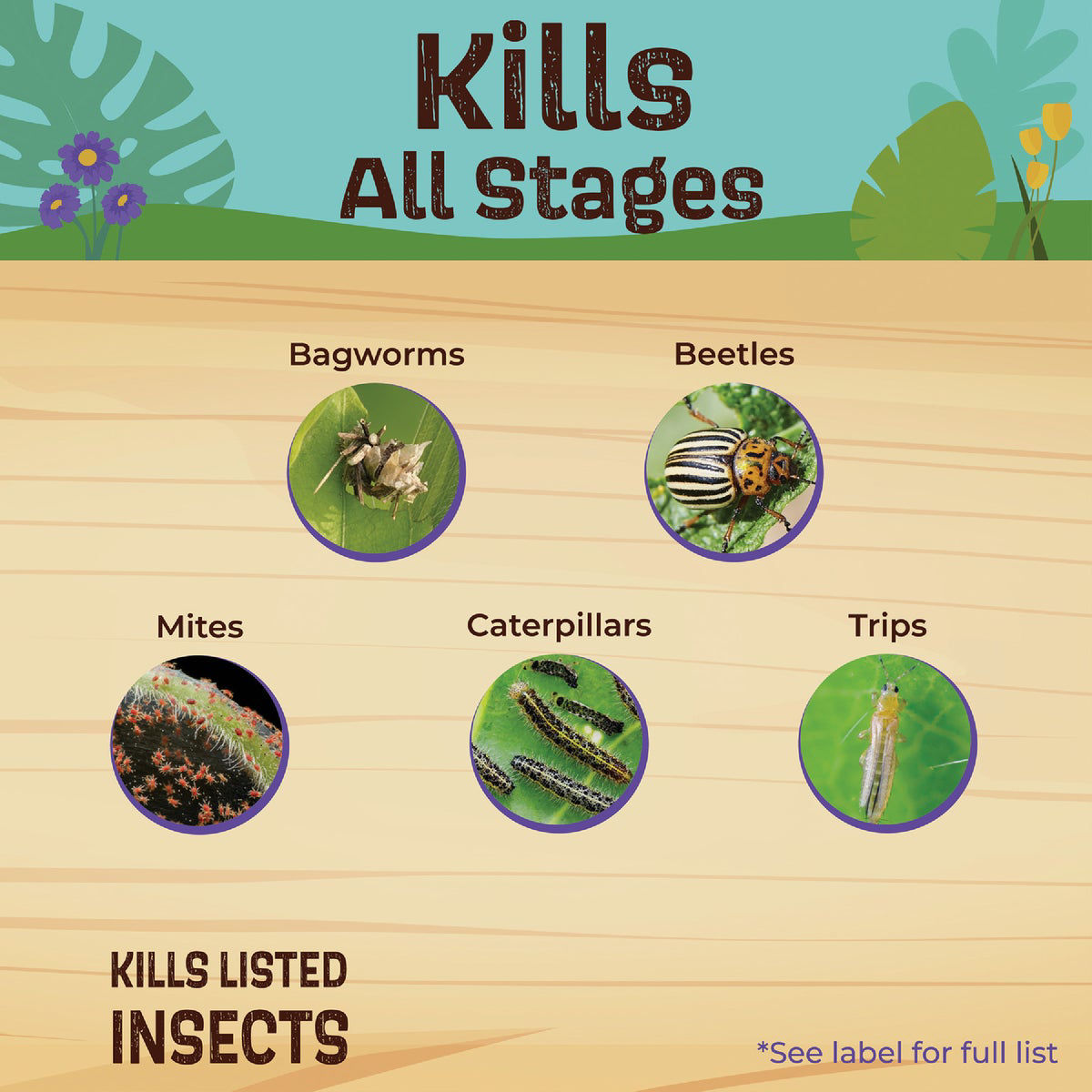 Bonide Captain Jack's Deadbug Brew 32 Oz. Ready To Use Trigger Spray ...