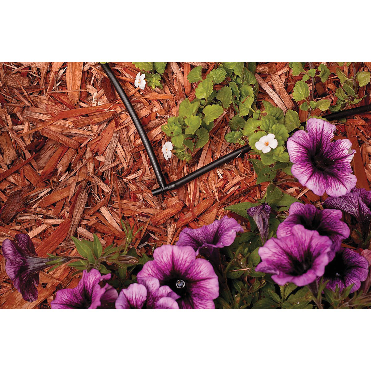 Rain Bird 1/4 In. Tubing Barbed Elbow (10-Pack) | Do it Best