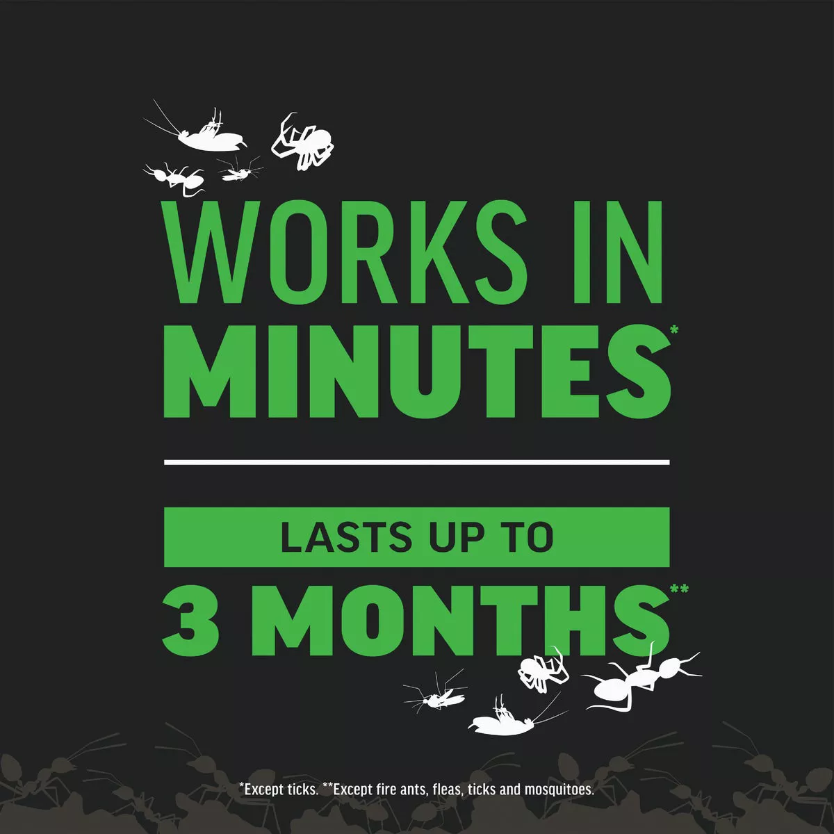 Amdro Quick Kill 32 Oz. Ready To Spray Hose End Insect Killer | Do it Best