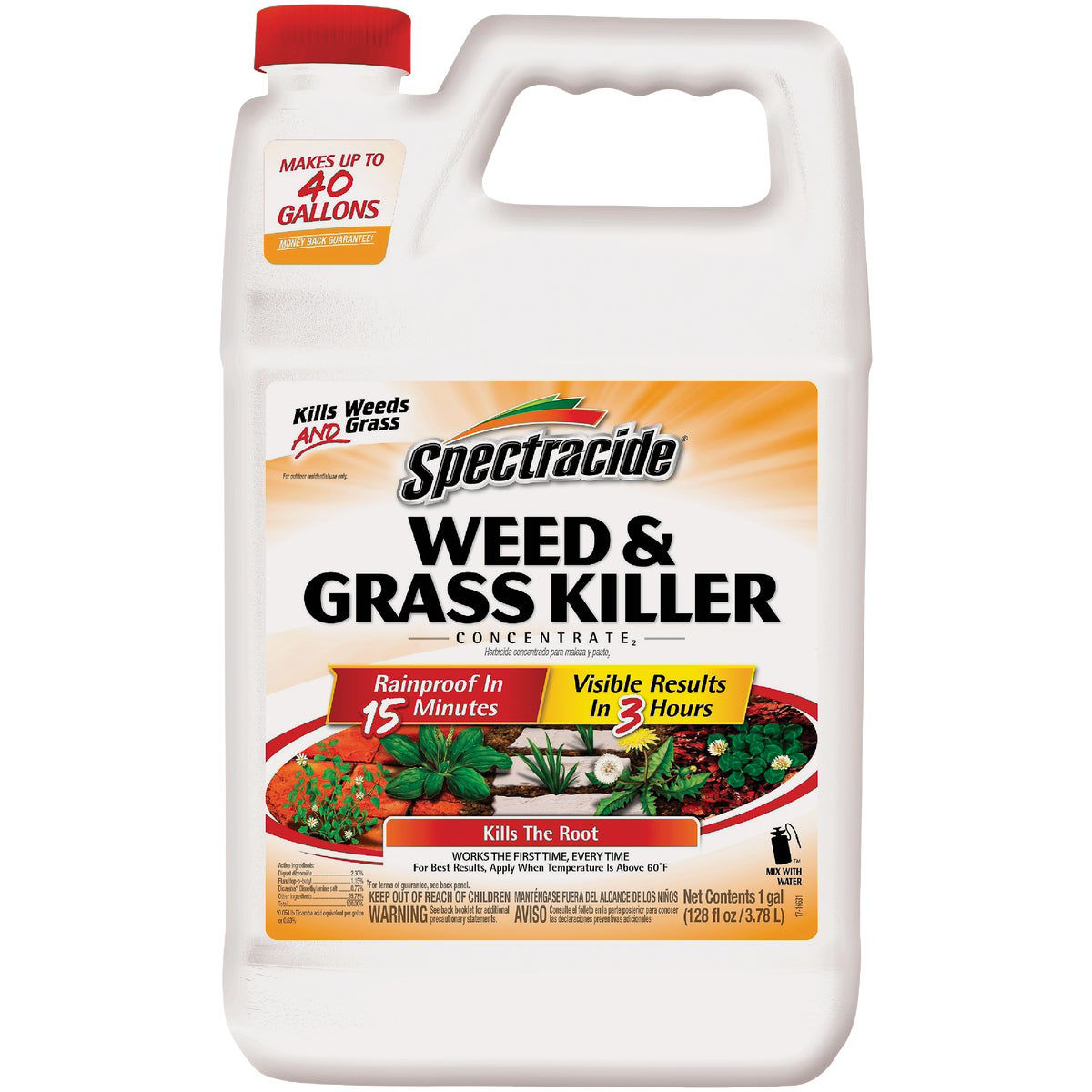 Spectracide 1 Gal. Concentrate Weed & Grass Killer | Do it Best