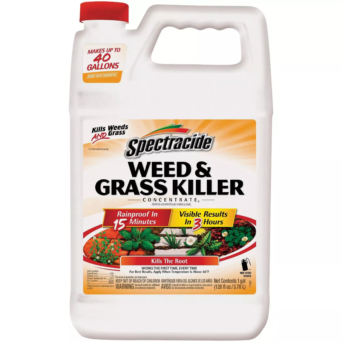 Spectracide 1 Gal. Concentrate Weed & Grass Killer | Do it Best