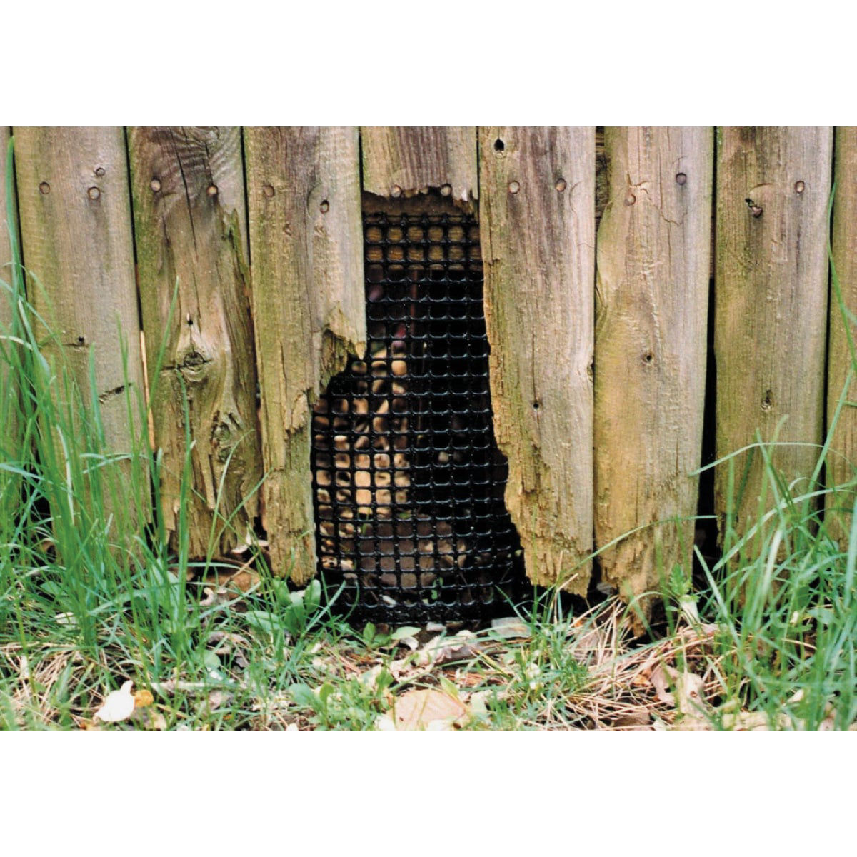 Tenax 3 Ft. H. x 15 Ft. L. Plastic Hardware Netting Garden Fence, Black ...